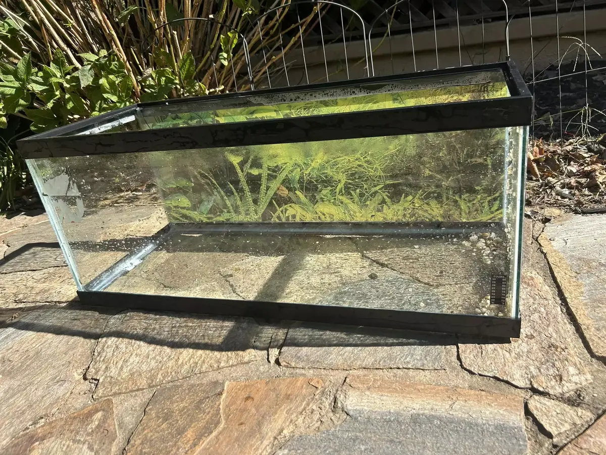 How to Safely Clean a Secondhand Fish Tank or Aquarium - Aquariu.ms